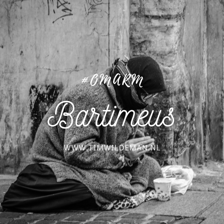 Bartimeus – timwildeman.nl